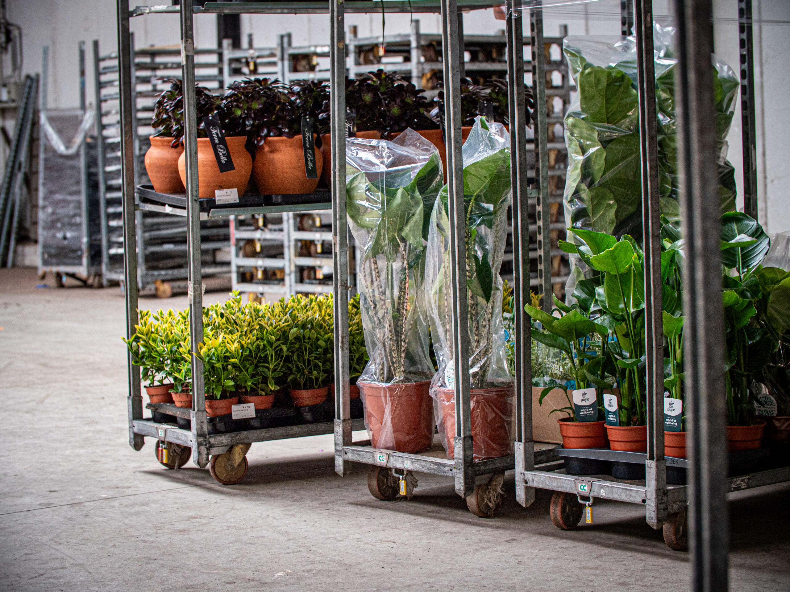 Wat is een CC Container? - Floritrack